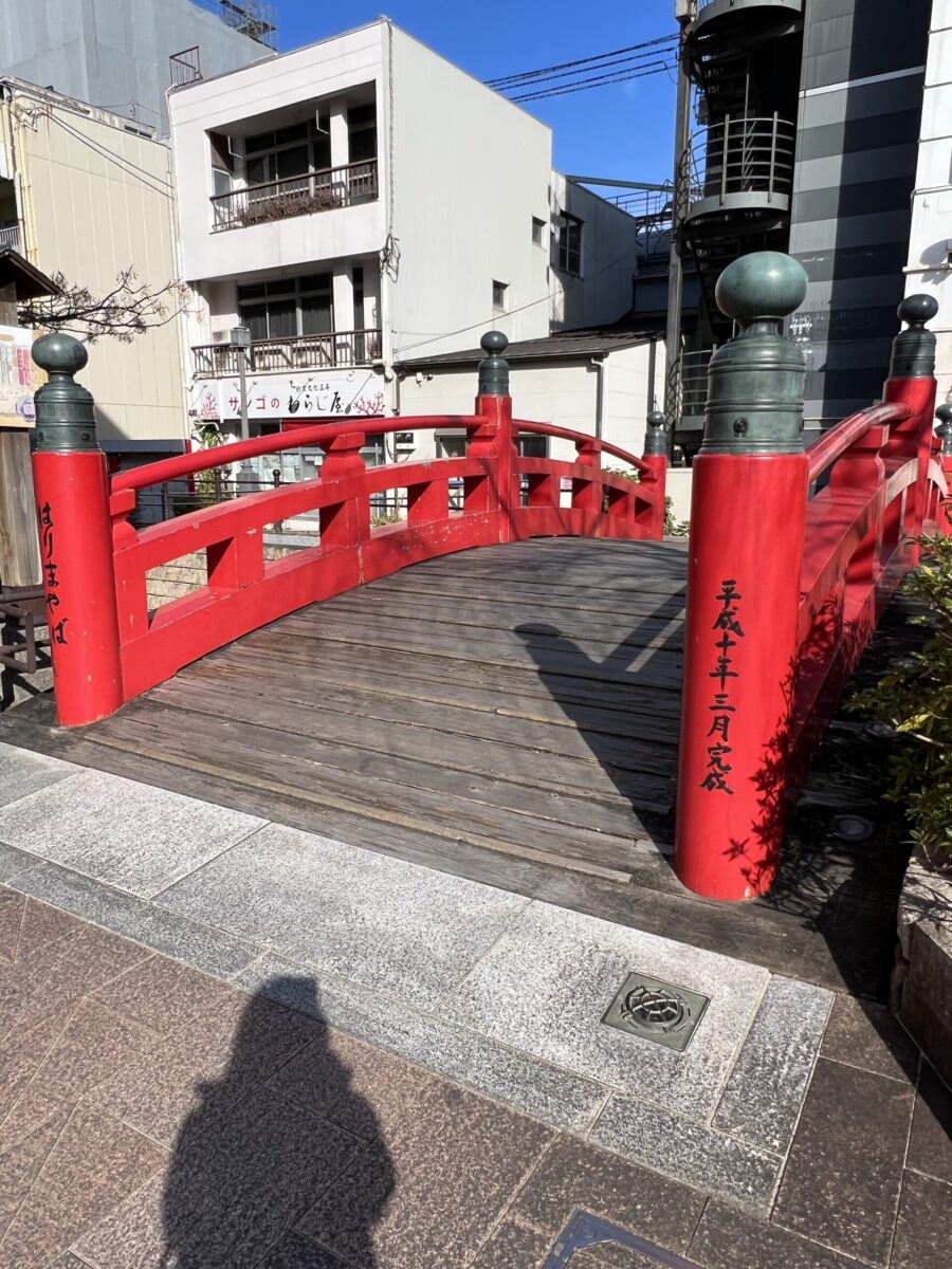 February 7, Travel Day from Kochi to Osaka | Shonen Knife's Blog